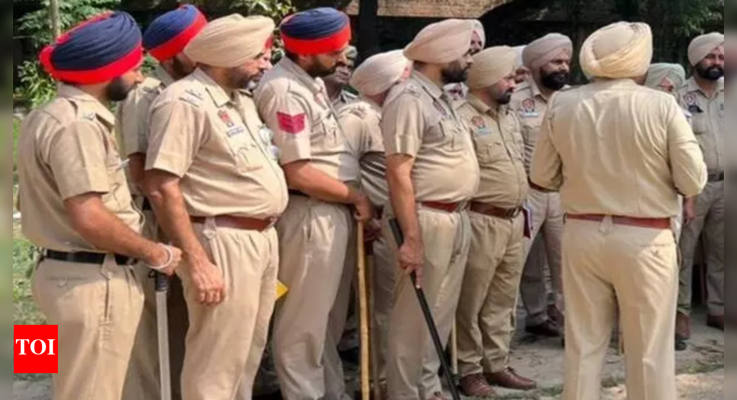 Ludhiana rural police books BDPO, Patwari and others for allegedly ...