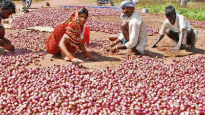 Primary agri co-op societies can now procure onions for government agencies | Nashik News ...