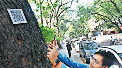 QR Codes: Discover the Life Stories of 700 Trees through QR Codes ...