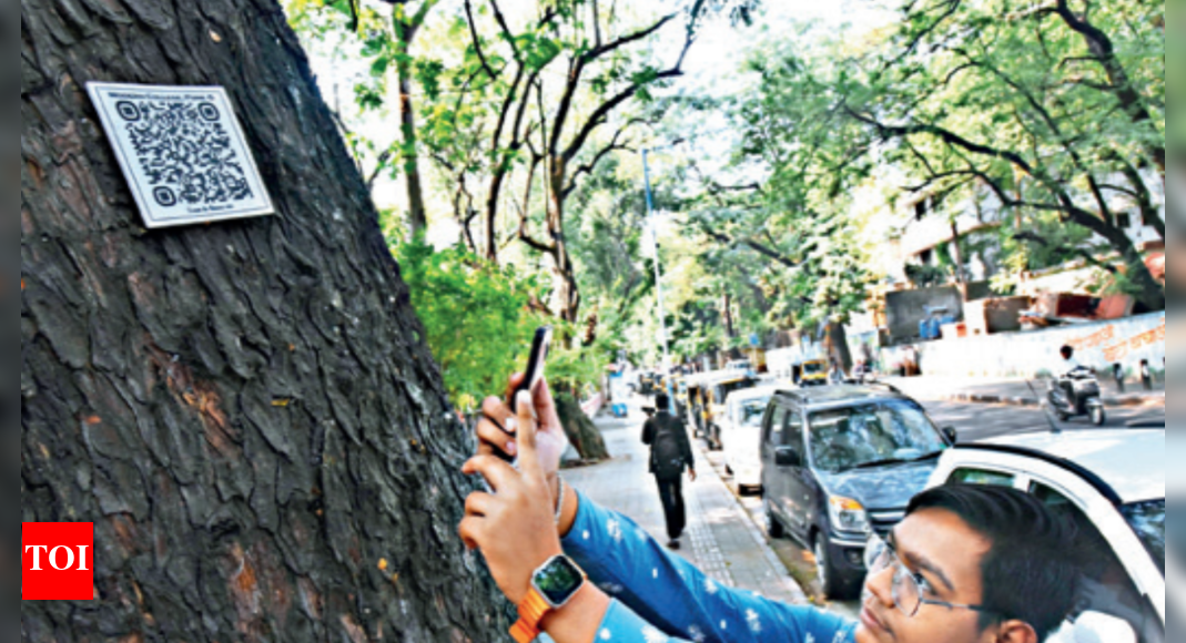 QR Codes: Discover the Life Stories of 700 Trees through QR Codes ...