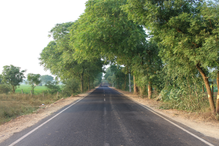 Best places near Delhi for a quick one-day trip | Times of India Travel