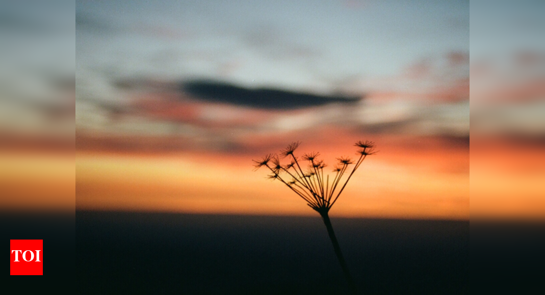 Daily Pleasures: Some of the simple daily pleasures of life that we ...