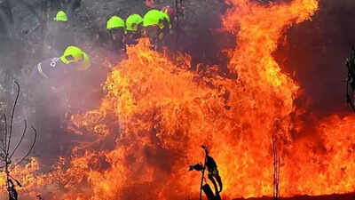 IIT-D study: Climate change strongly affects future fire weather danger ...