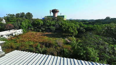Sports Complex: Abandoned Sports Complex in Sukhdev Vihar New Delhi ...
