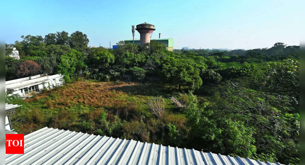 Sports Complex: Abandoned Sports Complex in Sukhdev Vihar New Delhi ...