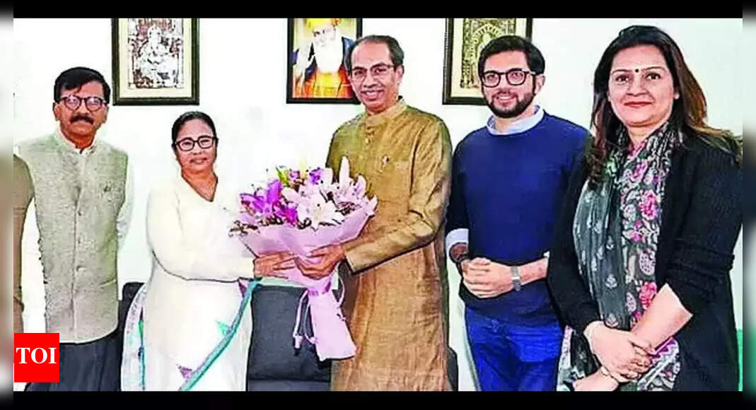 Kolkata News: Trinamool Congress family will take final call, says Mamata Banerjee on ‘political ...