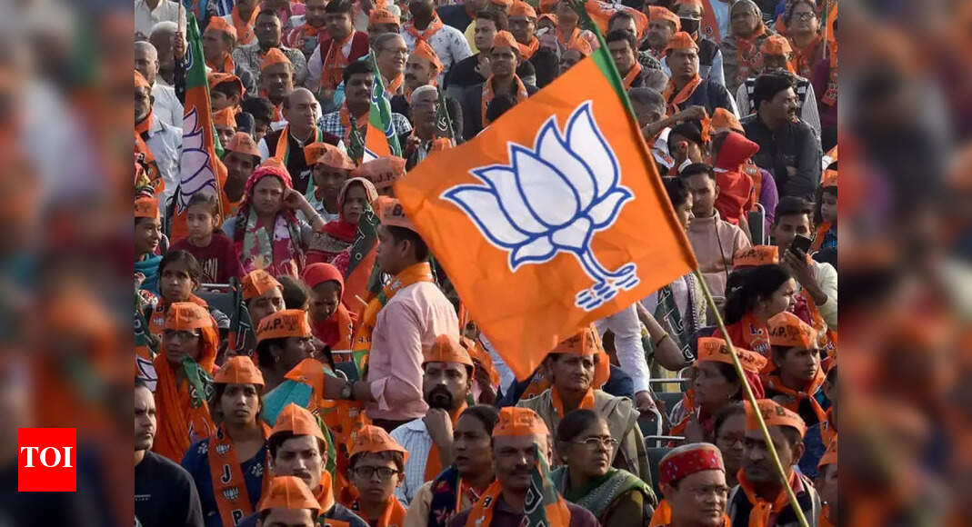 Politics: Finances Unveiled: India's Political Ledger - Times of India