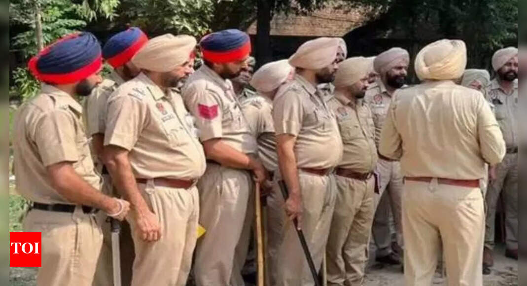 Gangster tries to flee Punjab cops' custody, gunned down | India News ...