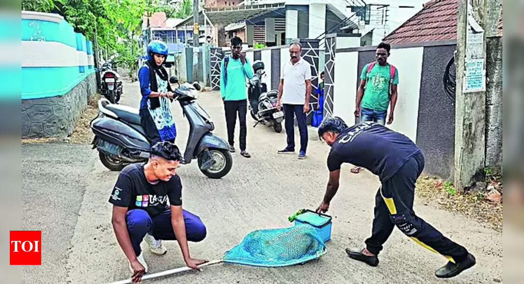 Ring Vaccination: Ring Vaccination Drives Check Spread Of Rabies In The ...