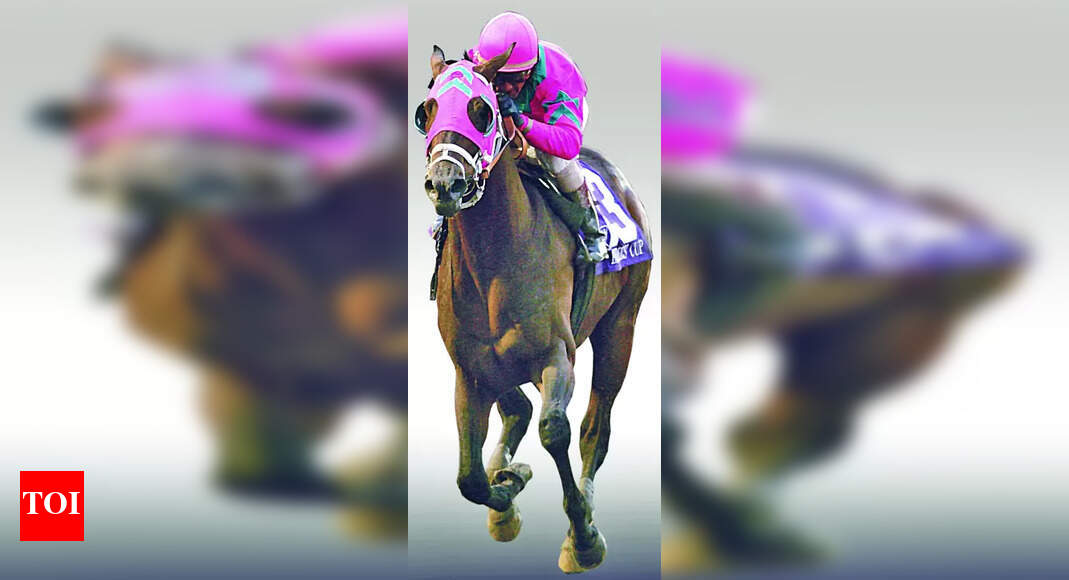 Court Jester: Court Jester Wins Main Event at Mysuru Races | Mysuru ...