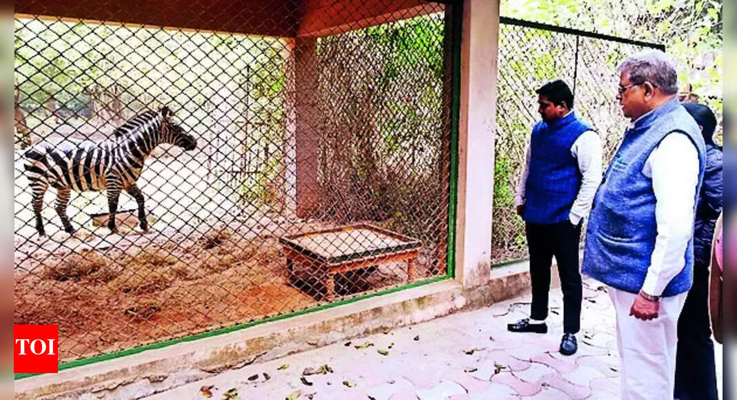 Victim’s Wife To Be Given Job At Zoo: Min | Lucknow News - Times of India