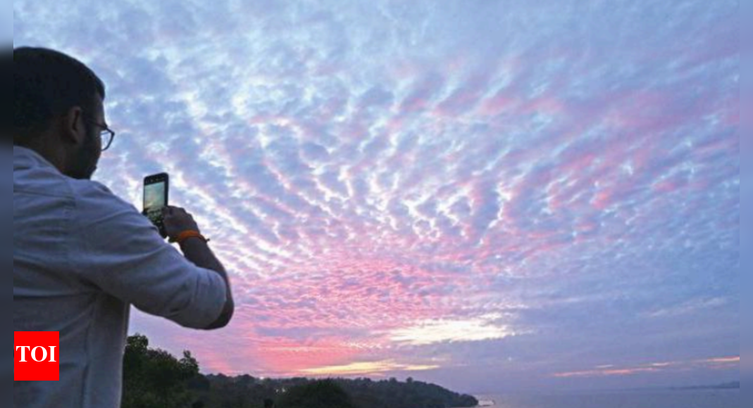 Cold: Brrr... Cold Ahead; 14 Respite for Now | Bhopal News - Times of India