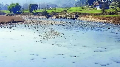 Uttarakhand News: ‘Lost’ city under Almora? ASI plans to explore ...
