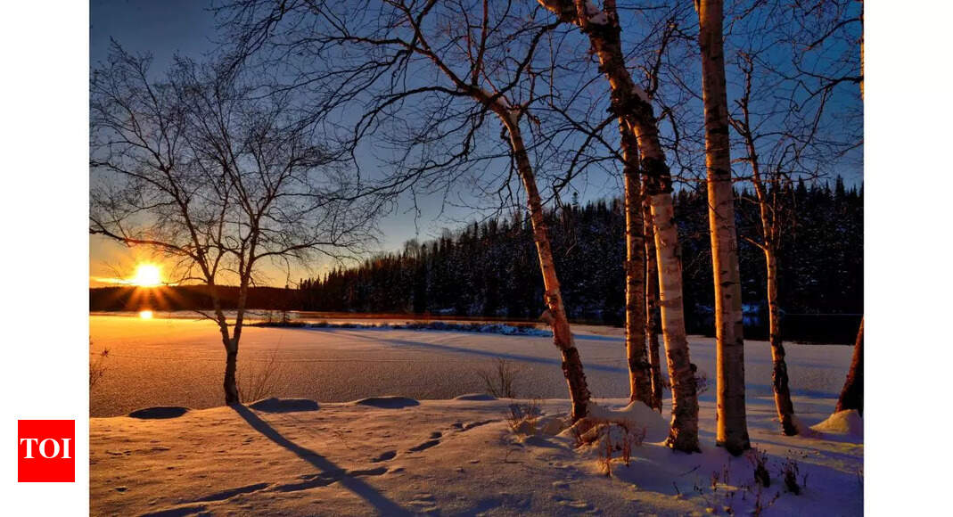 Winter Solstice today: All about it here - Times of India