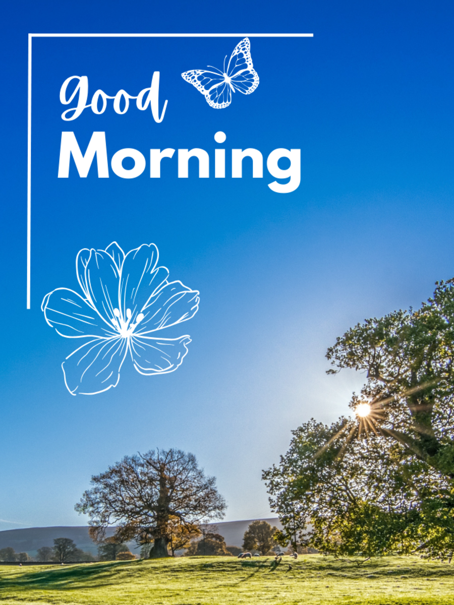 Good Morning Images To Share With Your Family On WhatsApp | Times Now