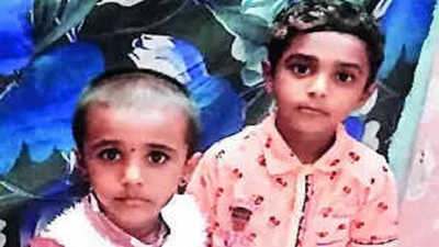 Haryana Man Kills Wife: Haryana man kills wife & 2 kids, suspected her ...