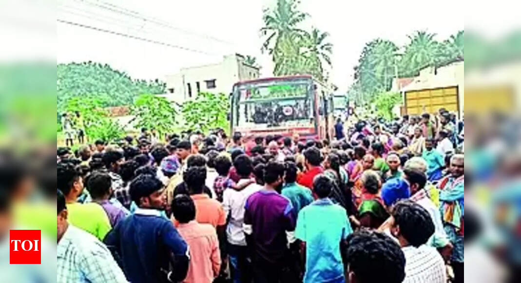 Elephant Attack: Man Injured in Elephant Attack: 65-Year-Old Victim in ...