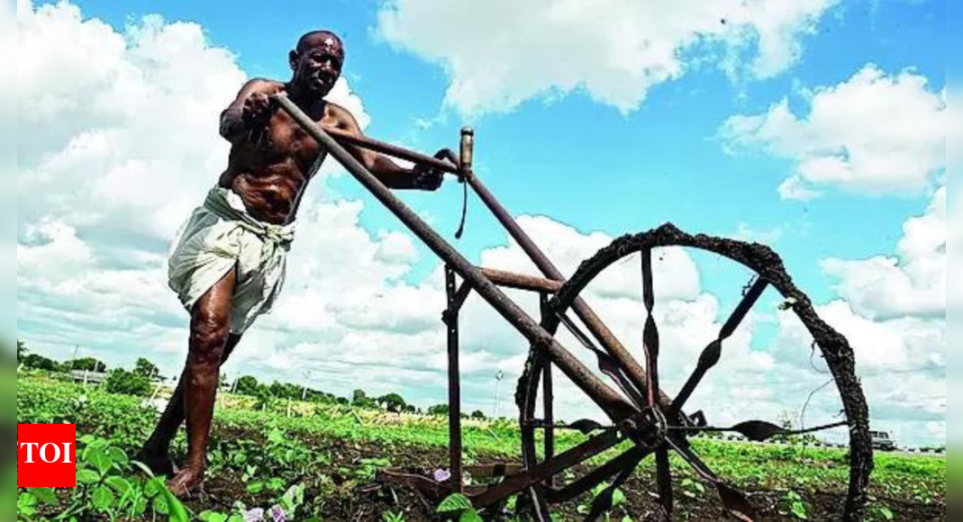 Congress plans to limit scope of Rythu Bandhu | India News - Times of India