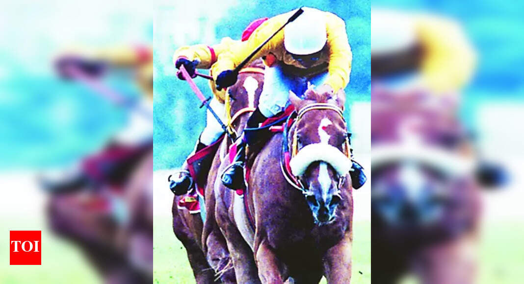 Court Jester: Court Jester Wins Main Event at Mysuru Races | Bengaluru ...