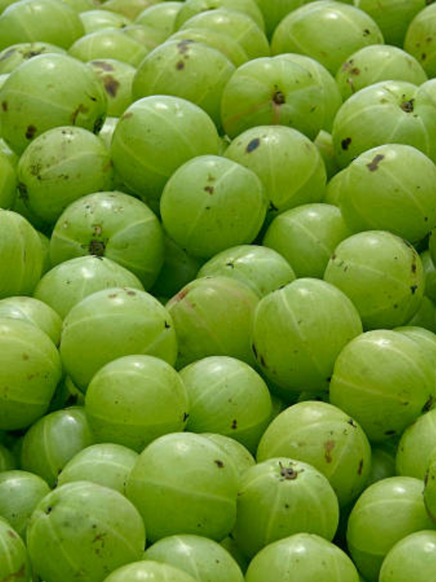 10 reasons to eat one Amla every day of your life | Times of India