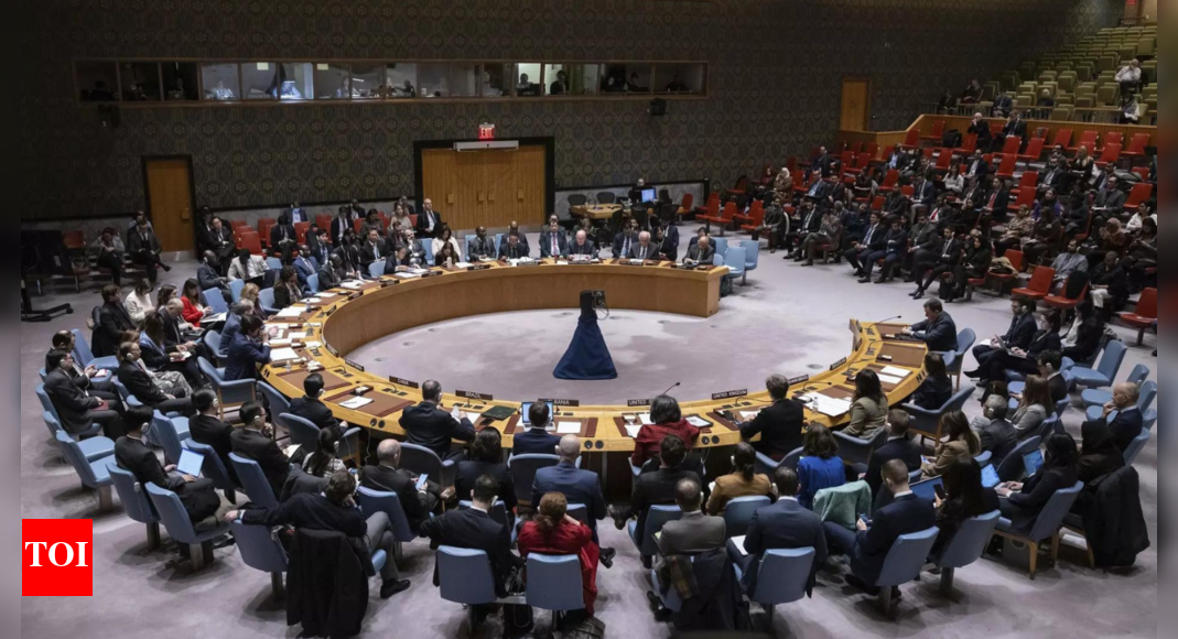 UN Security Council adopts resolution calling for increased ...