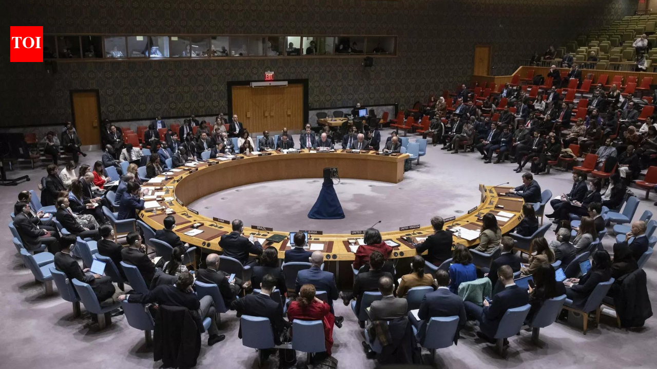 UN Security Council adopts resolution calling for increased ...