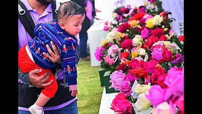 Rose Show: All India Winter Rose Show at India-Africa Friendship Rose ...