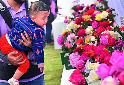 Rose Show: All India Winter Rose Show at India-Africa Friendship Rose ...