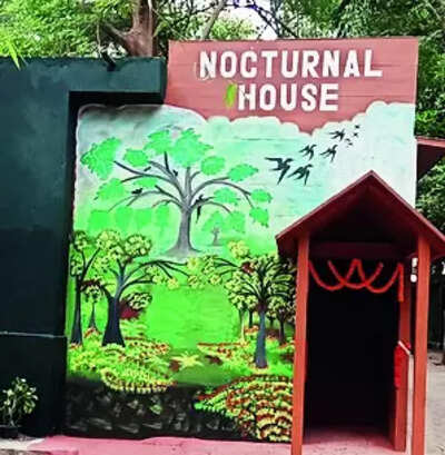 Nocturnal House: Nocturnal House in Sambalpur Zoo - New Guests in ...