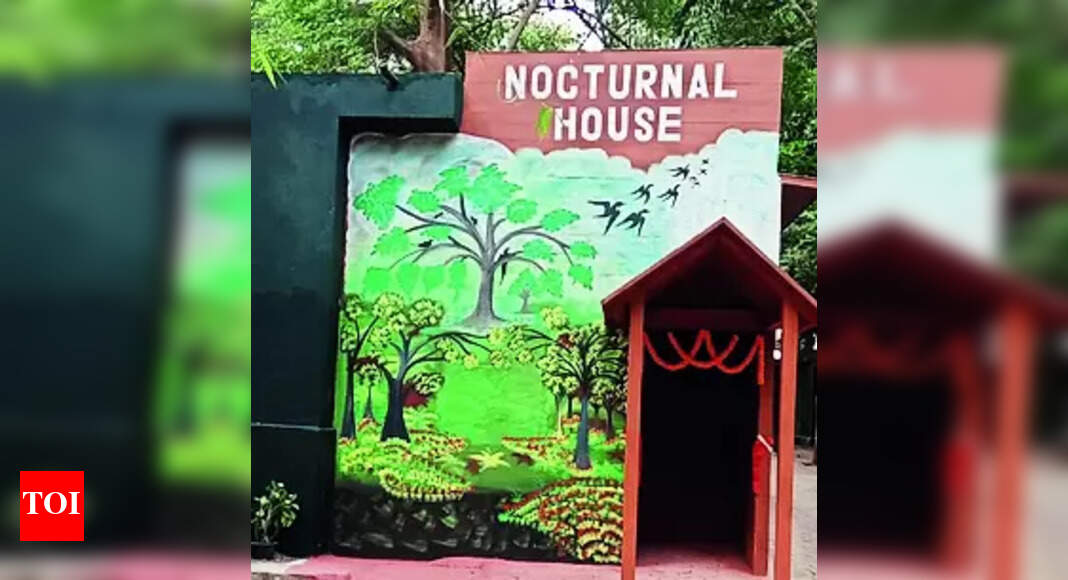 Nocturnal House: Nocturnal House in Sambalpur Zoo - New Guests in ...