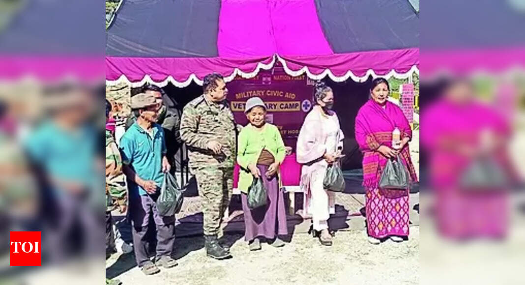 Army Vets: Army vets treat ailing animals in India’s first village ...