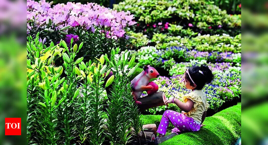 Flower Show: Flower Show Adds Colour To City’s Celebrations | Kochi ...