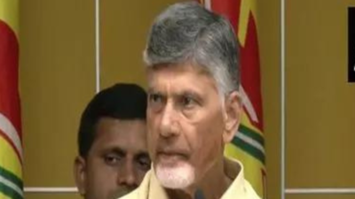 Chandrababu Naidu: Jagan's time is over as political migrations have started: Chandrababu Naidu ...