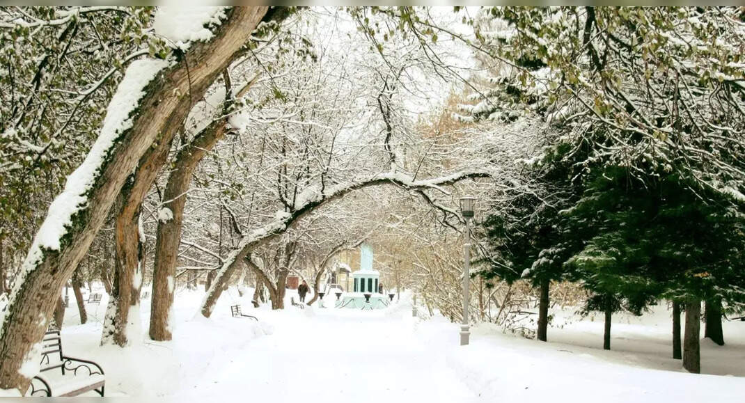 These are the world's coldest countries | Times of India Travel