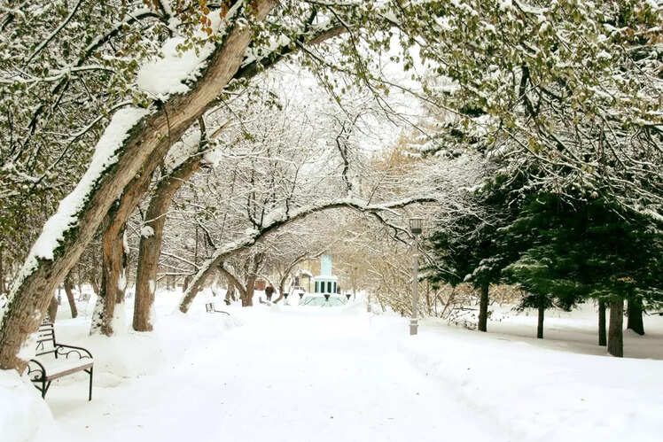 These are the world's coldest countries | Times of India Travel