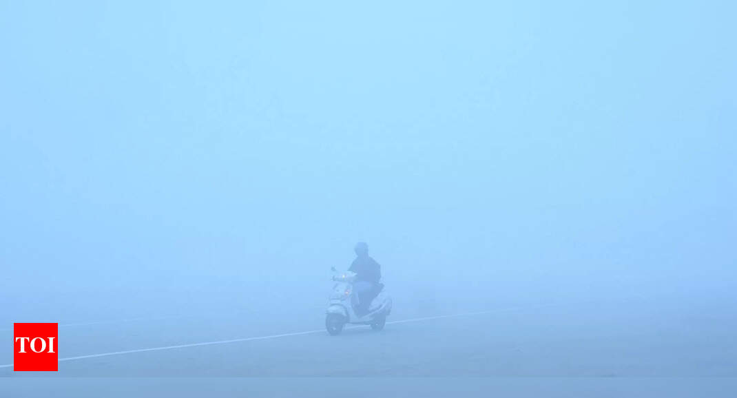 Dense Fog: Slight Respite from Cold: Updates on Dense Fog | Ludhiana ...