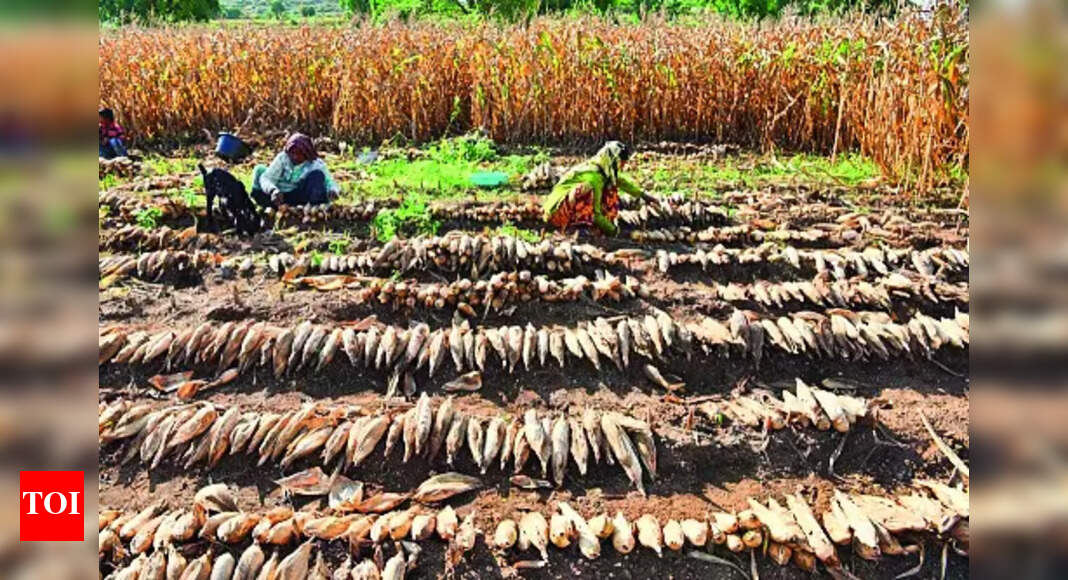 E-KYC Completion: Farmers face problems in e-KYC completion for getting ...