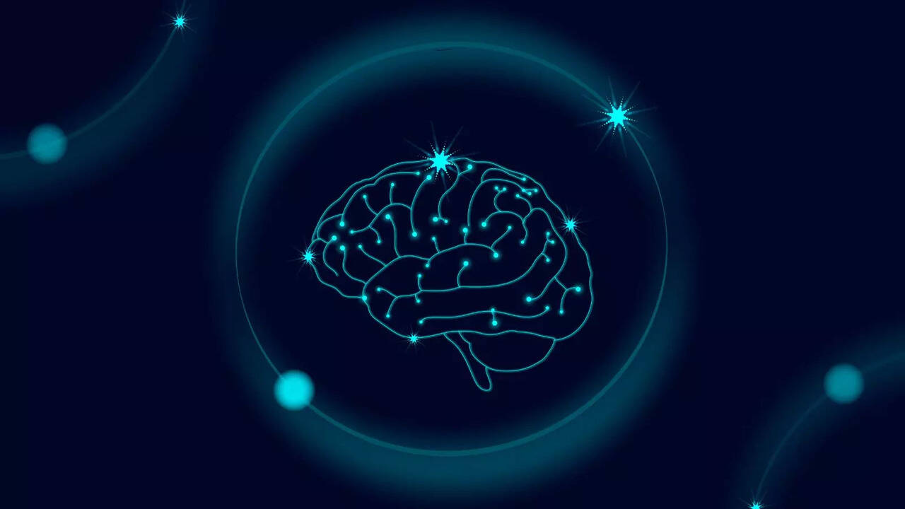 Enhancing Brain Fitness: Practices for a Healthy Mind