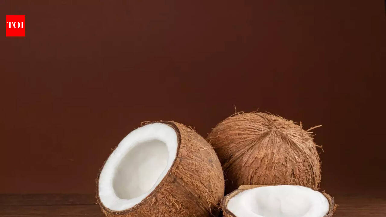 Why coconut is a must in religious rituals?