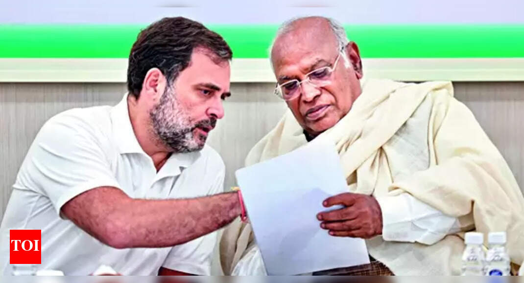 2024 Lok Sabha Elections: Rahul, Kharge Meet State Netas To Chalk Out Ls Polls Strategy | Delhi ...