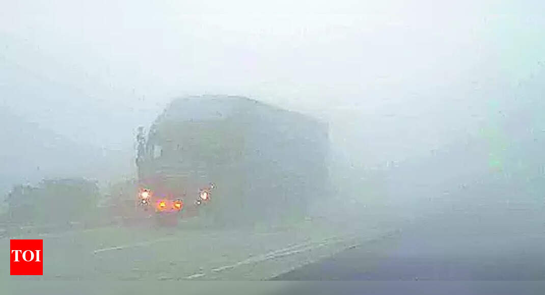 Fog: Fog Disrupts Air, Rail, Road Traffic in State for 2nd Day - Jaipur ...