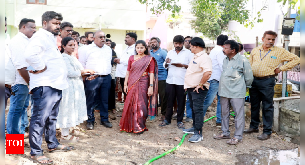 Chennai mayor Priya inspects ward development activities | Chennai News ...