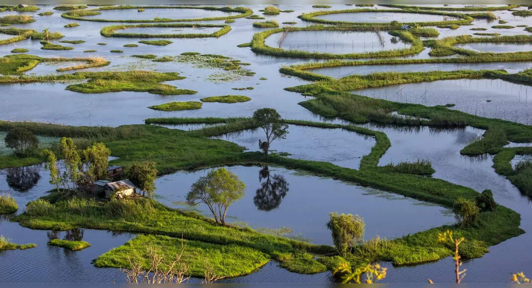 What makes Manipur's Loktak lake a natural wonder?, Imphal - TimesTravel