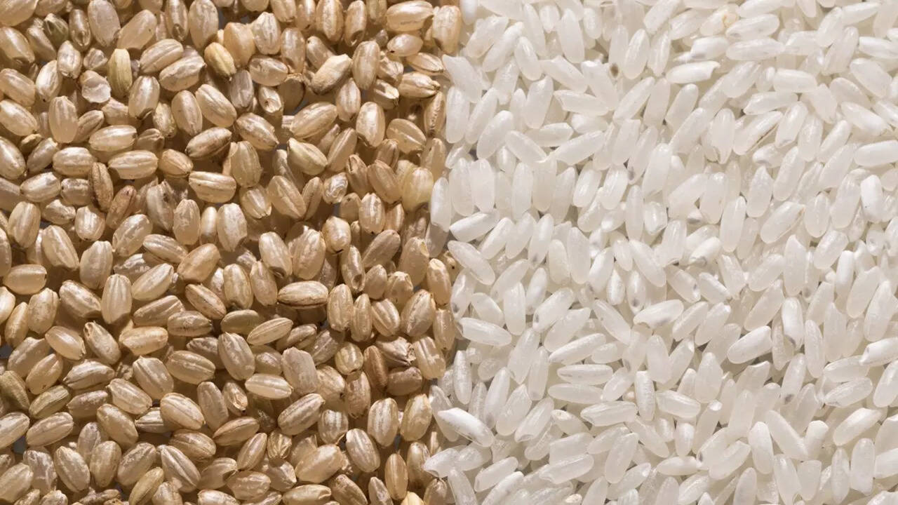 Brown vs White: Unveiling the Nutritional Power of Rice - Premier Literacy