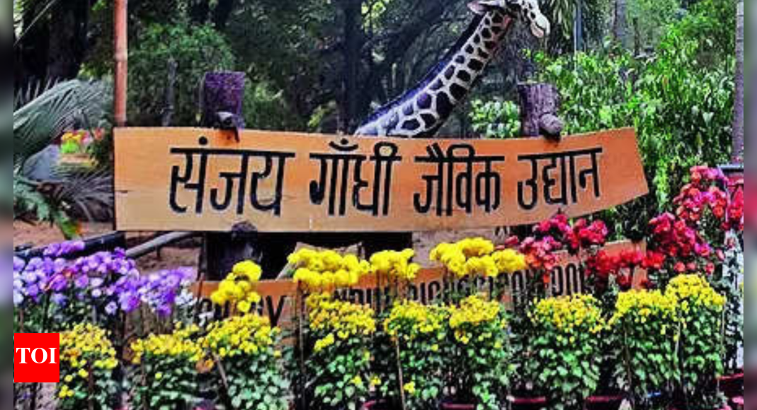 All set for New Year: Zoo, Bihar Museum to remain open on Jan 1 | Patna ...