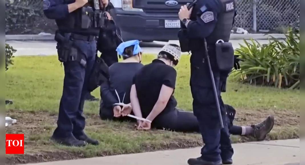 Dozens arrested in pro-Palestinian protests at two major US airports ...