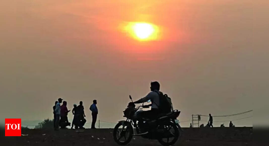 Cold: Brrr... Cold Ahead; 14 Respite for Now | Bhopal News - Times of India