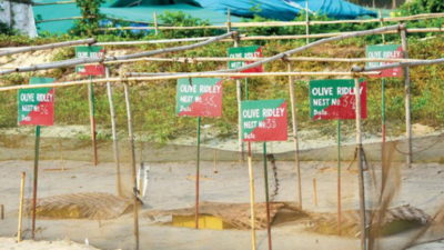 Curb noise pollution at all Goa events, including Sunburn: High court ...