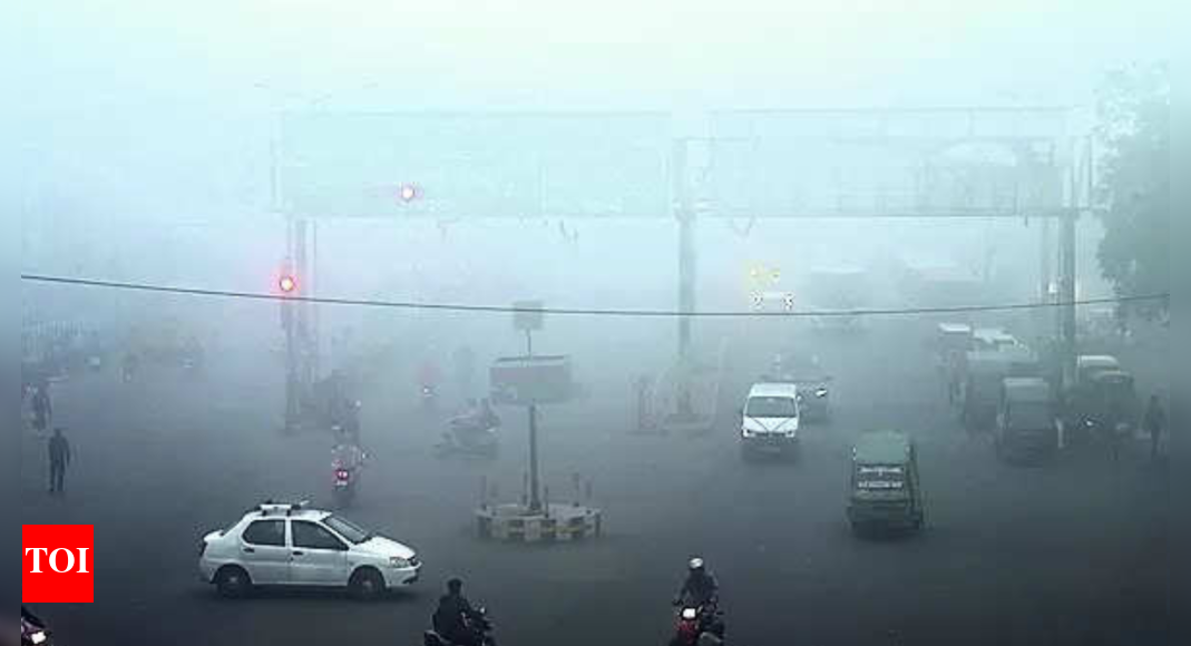 Brace for dense to very dense fog in Lucknow today | Lucknow News ...