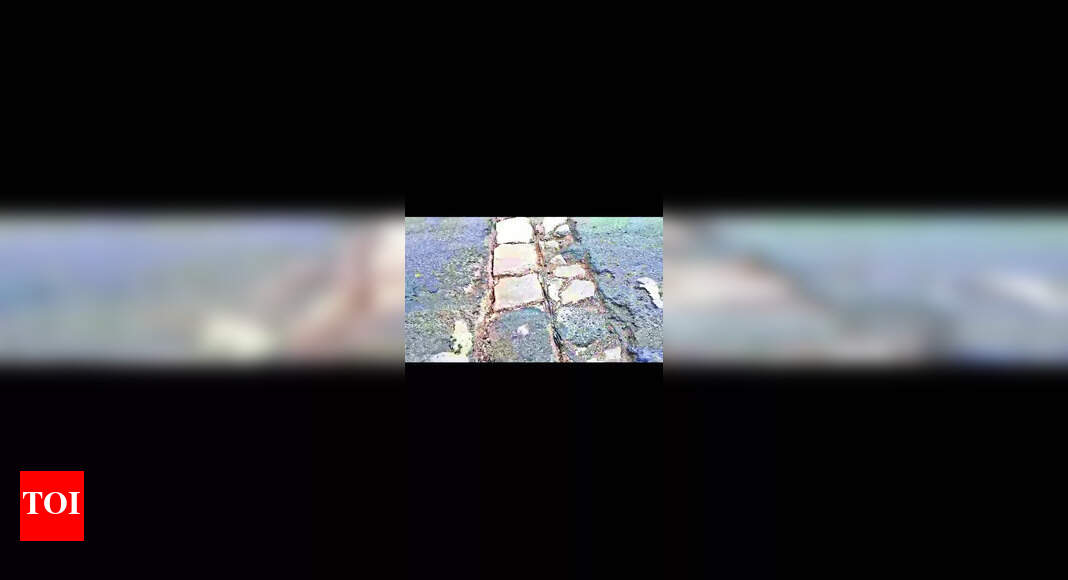 NHAI: NHAI Undertakes Repairs to Damaged Parts of NH-45 in Chennai ...